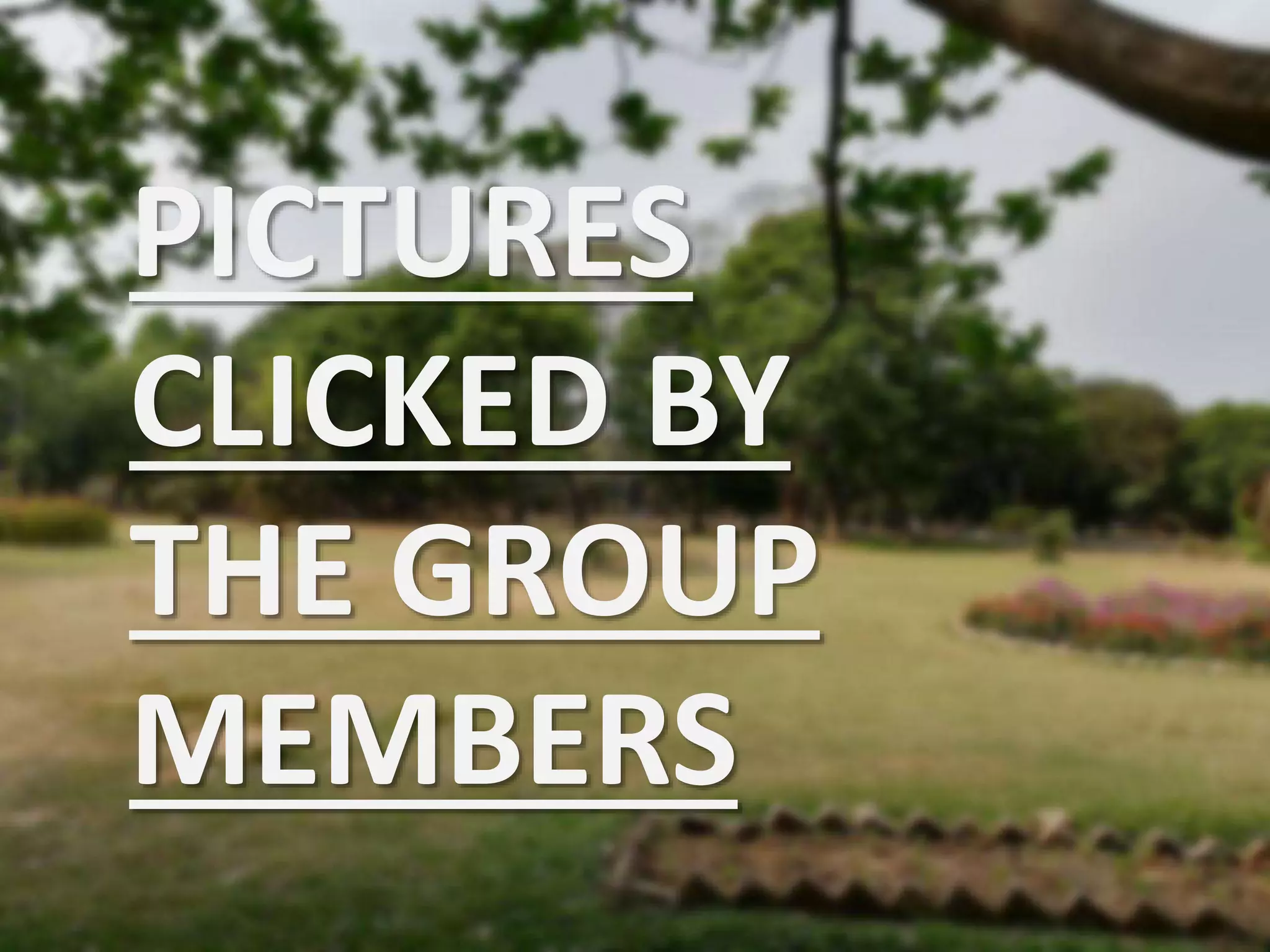 Evergreen Ramna Park | PPT