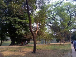 Evergreen Ramna Park | PPT