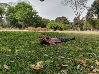 Evergreen Ramna Park | PPT