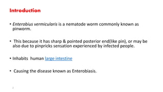 Enterobius Vermicularis In Urine Treatment
