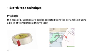 Pinworm Scotch Tape Test
