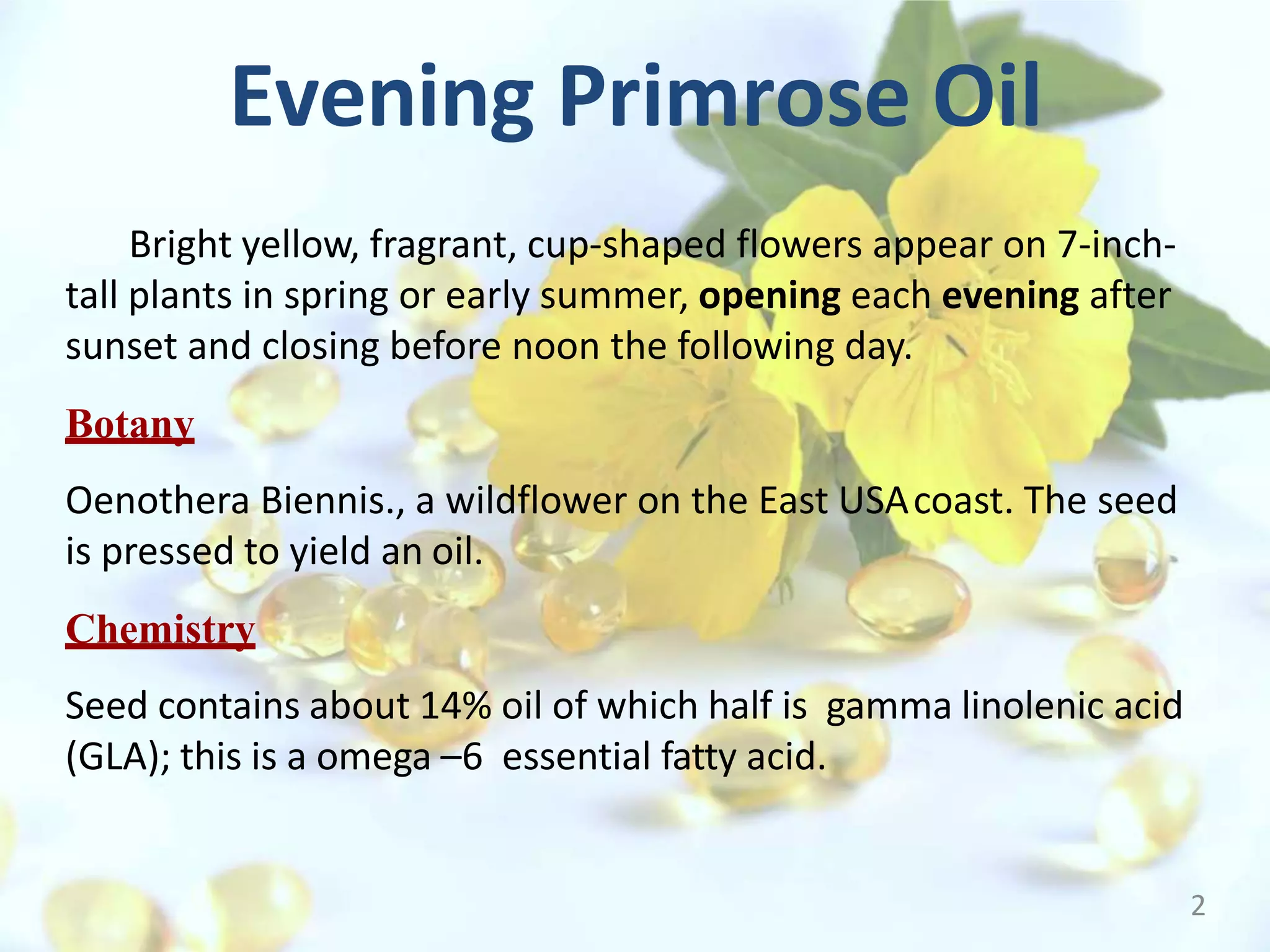 Evening primrose- medicinal plant PowerPoint | PPTX