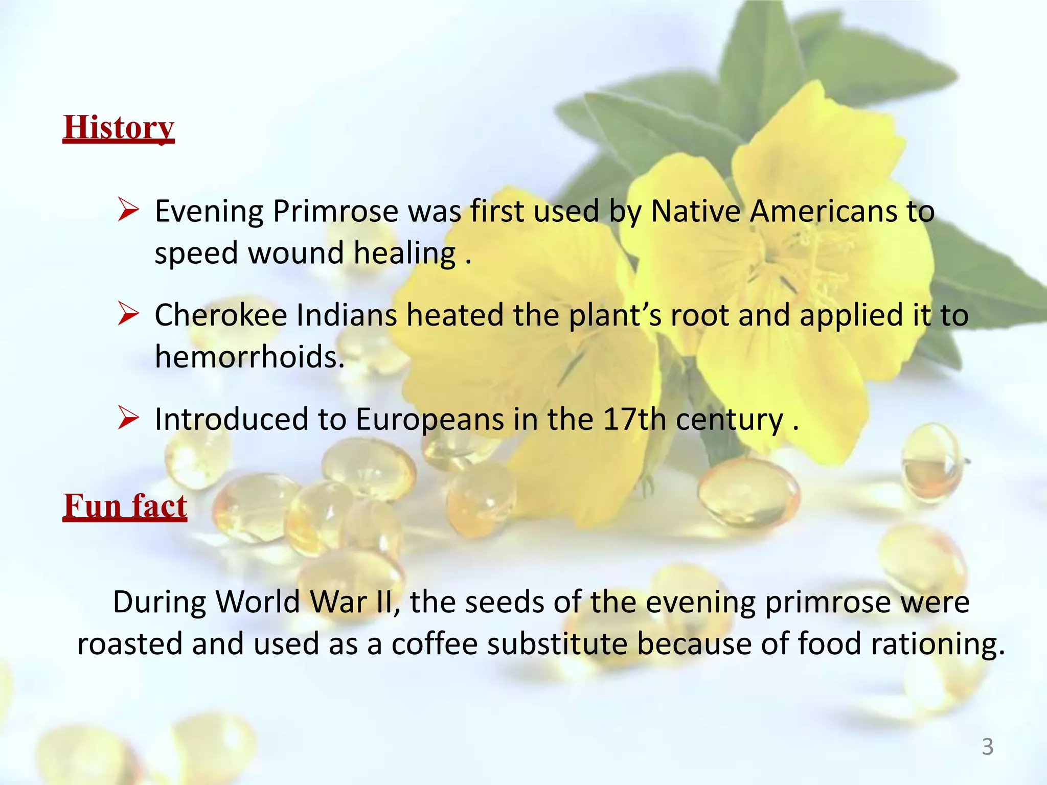 Evening primrose- medicinal plant PowerPoint | PPTX | Skin and ...