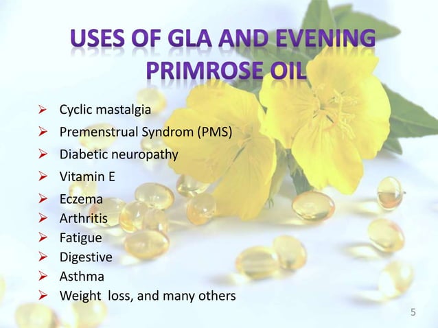 Evening primrose- medicinal plant PowerPoint | PPTX | Skin and ...