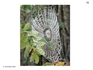 Evert Gummesson. Many-to-many marketing | PPT | Computer Networking ...