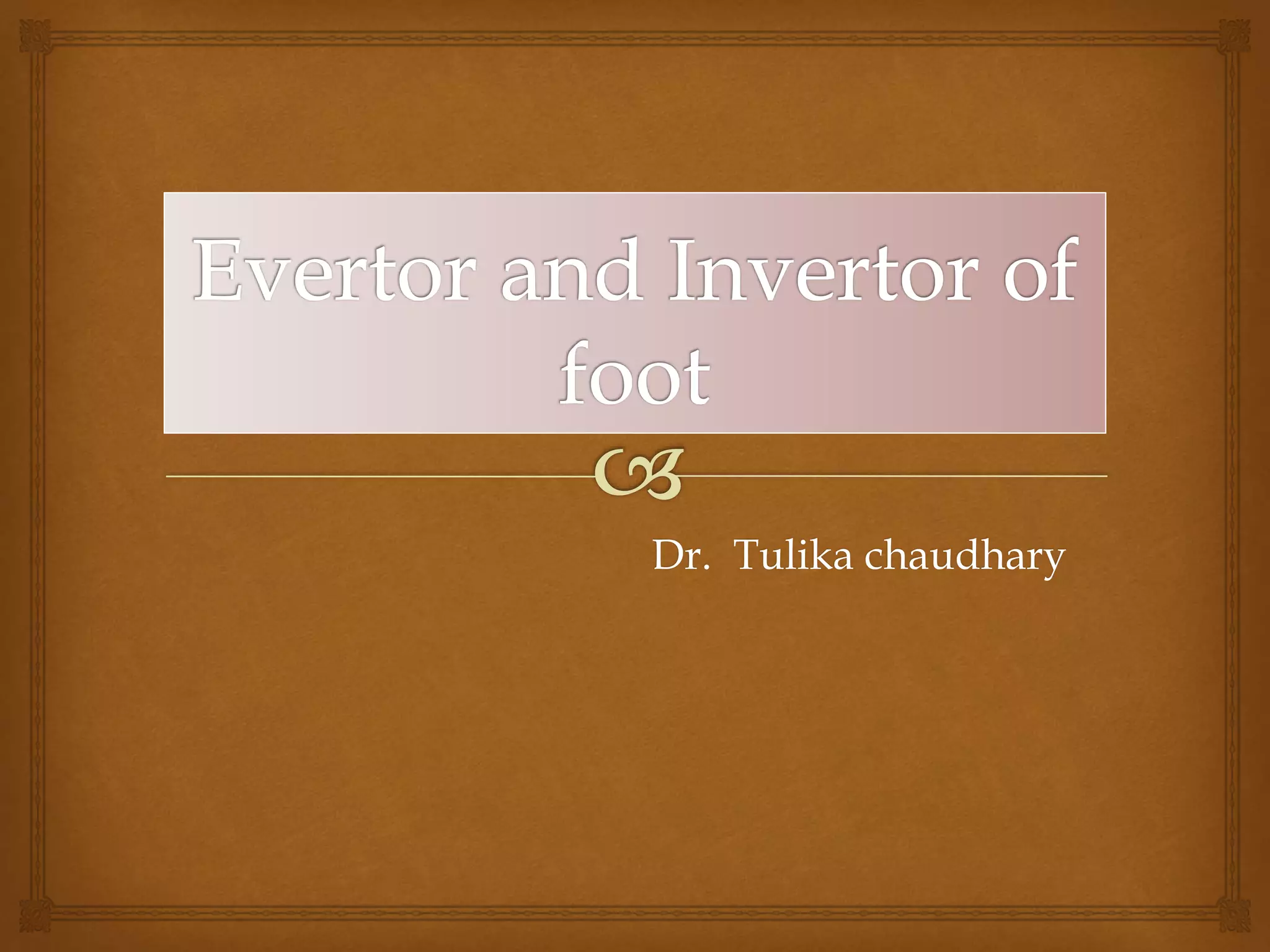 Evertor and invertor of foot | PPTX