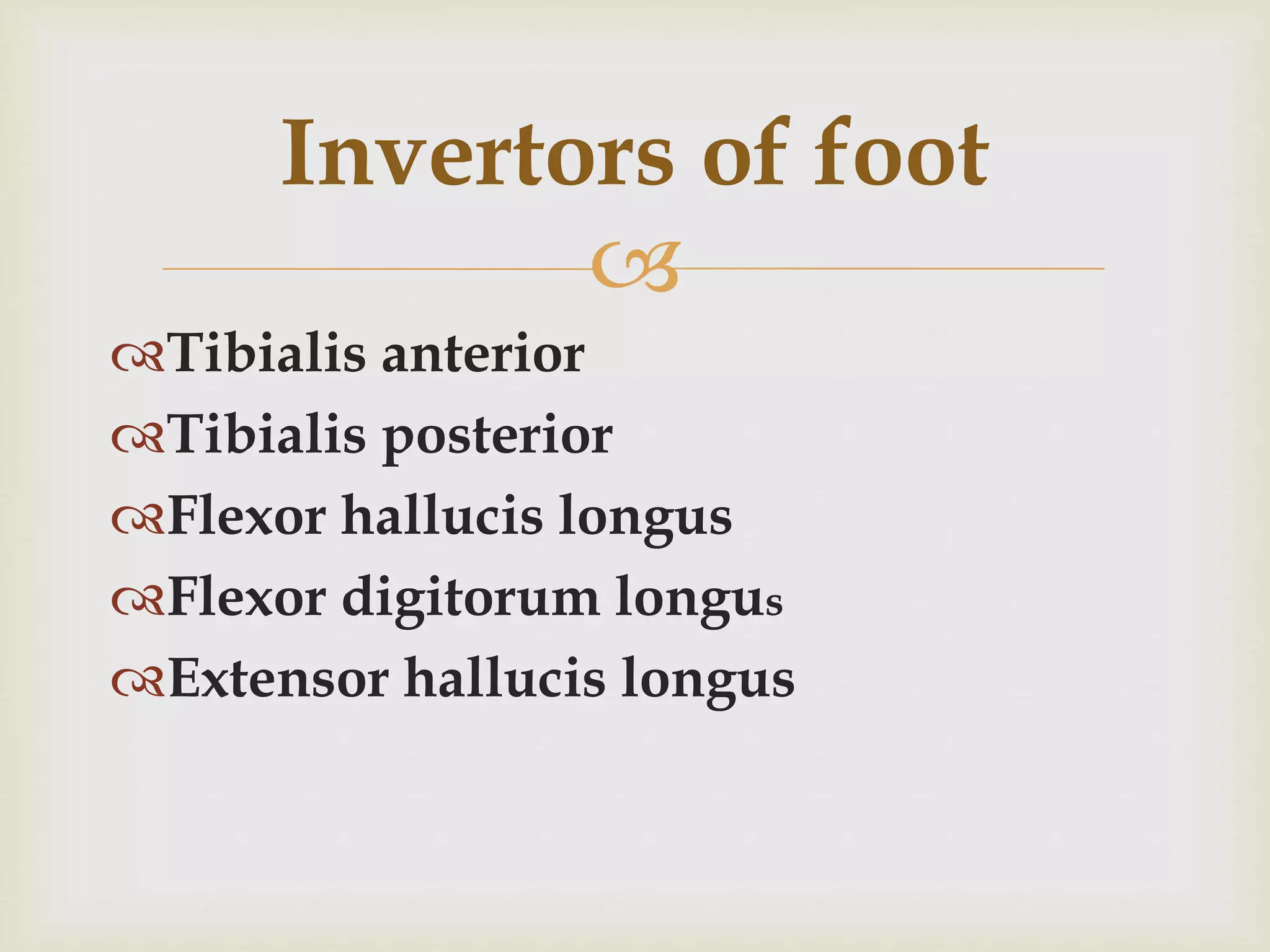 Evertor and invertor of foot | PPTX | Death, Injury, or Military ...