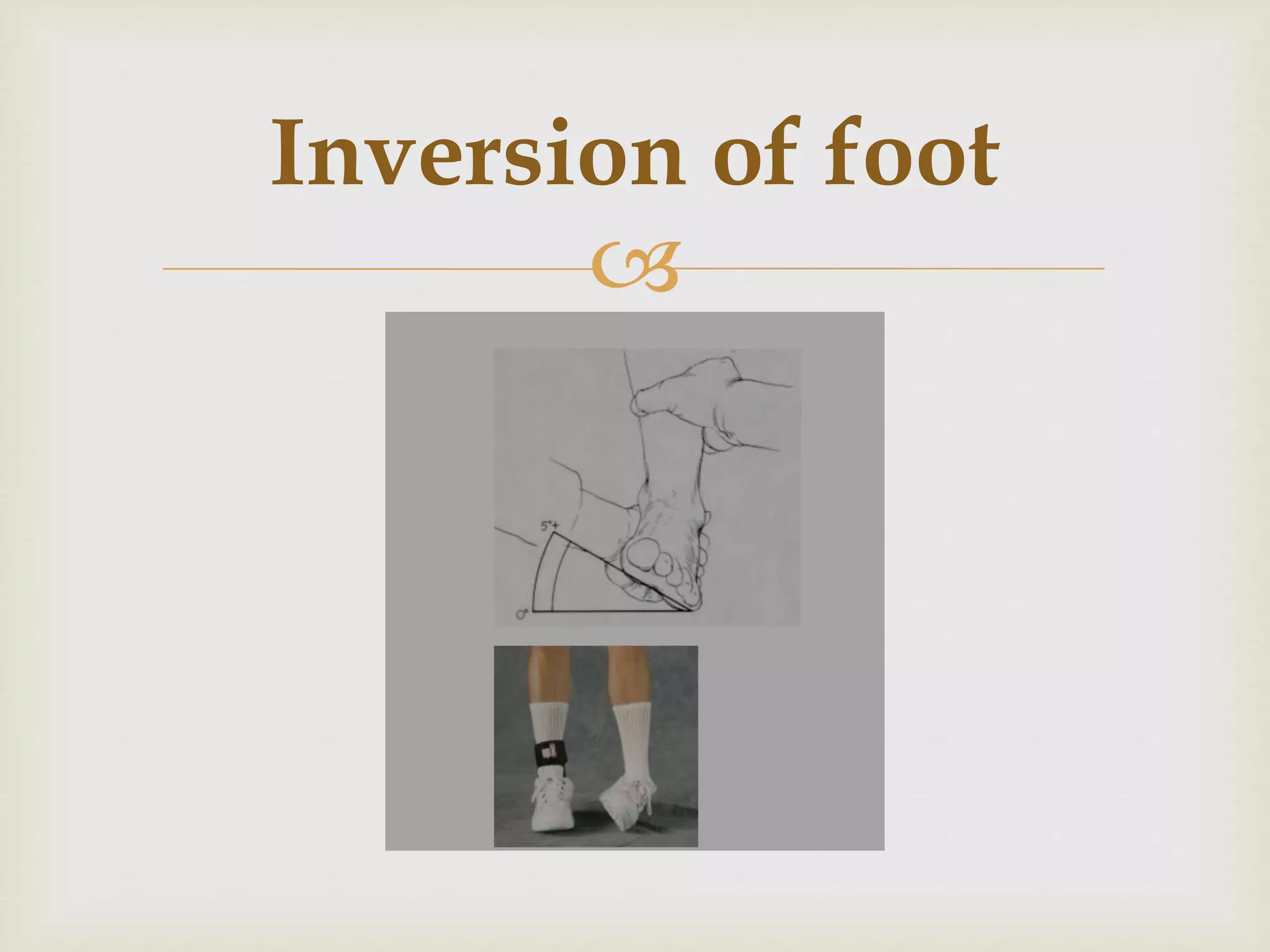 Evertor and invertor of foot | PPTX