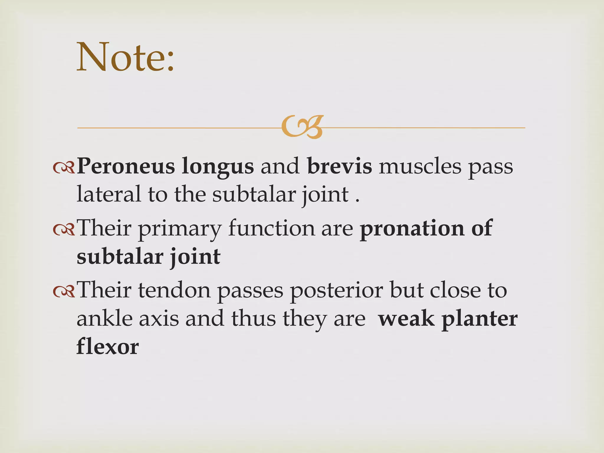 Evertor and invertor of foot | PPTX