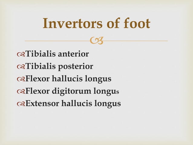 Evertor and invertor of foot | PPTX | Death, Injury, or Military ...