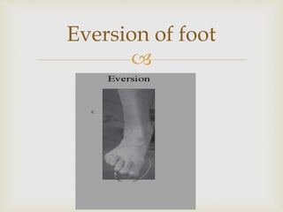 Evertor and invertor of foot | PPTX | Death, Injury, or Military ...