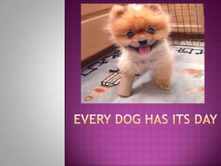 Every Dog Has Its Day | PPTX | Pets