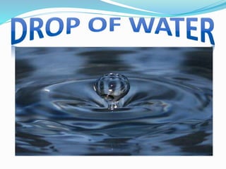 Every drop counts | PPTX