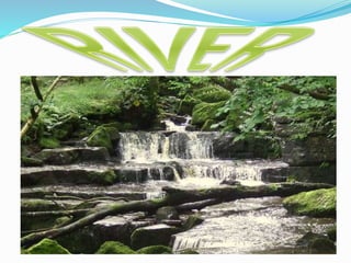 Every drop counts | PPTX