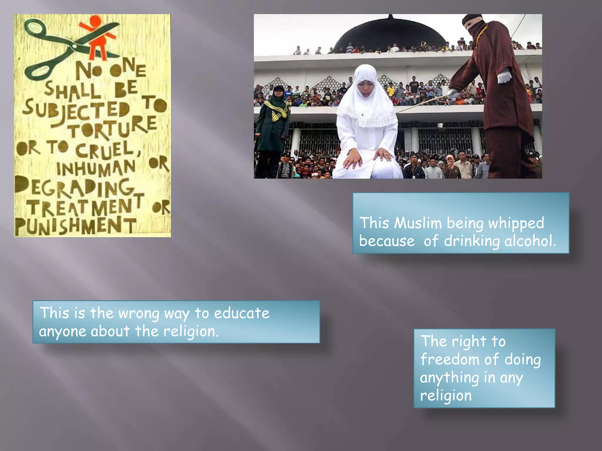 Every Human Has Rights | PPT | Free Download