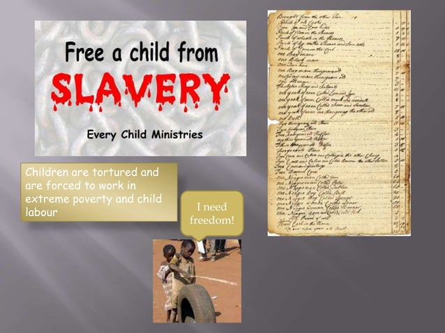 Every Human Has Rights | PPT