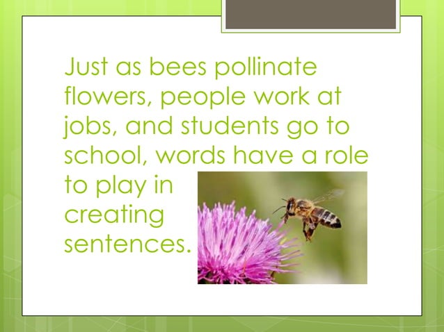 Everyone has a job to do! | PPTX | Beekeeping | Hobbies & Interests