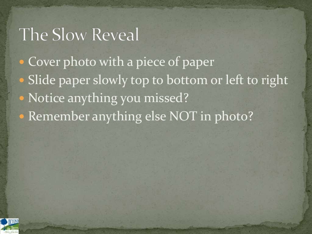 Every Picture Tells a Story Part 1: How To Write Great Photo Captions