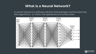 Everything You Need To Know About ChatGPT | PDF