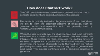 Everything You Need To Know About ChatGPT | PDF