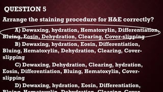 everything you need to know about H & E staining | PPTX