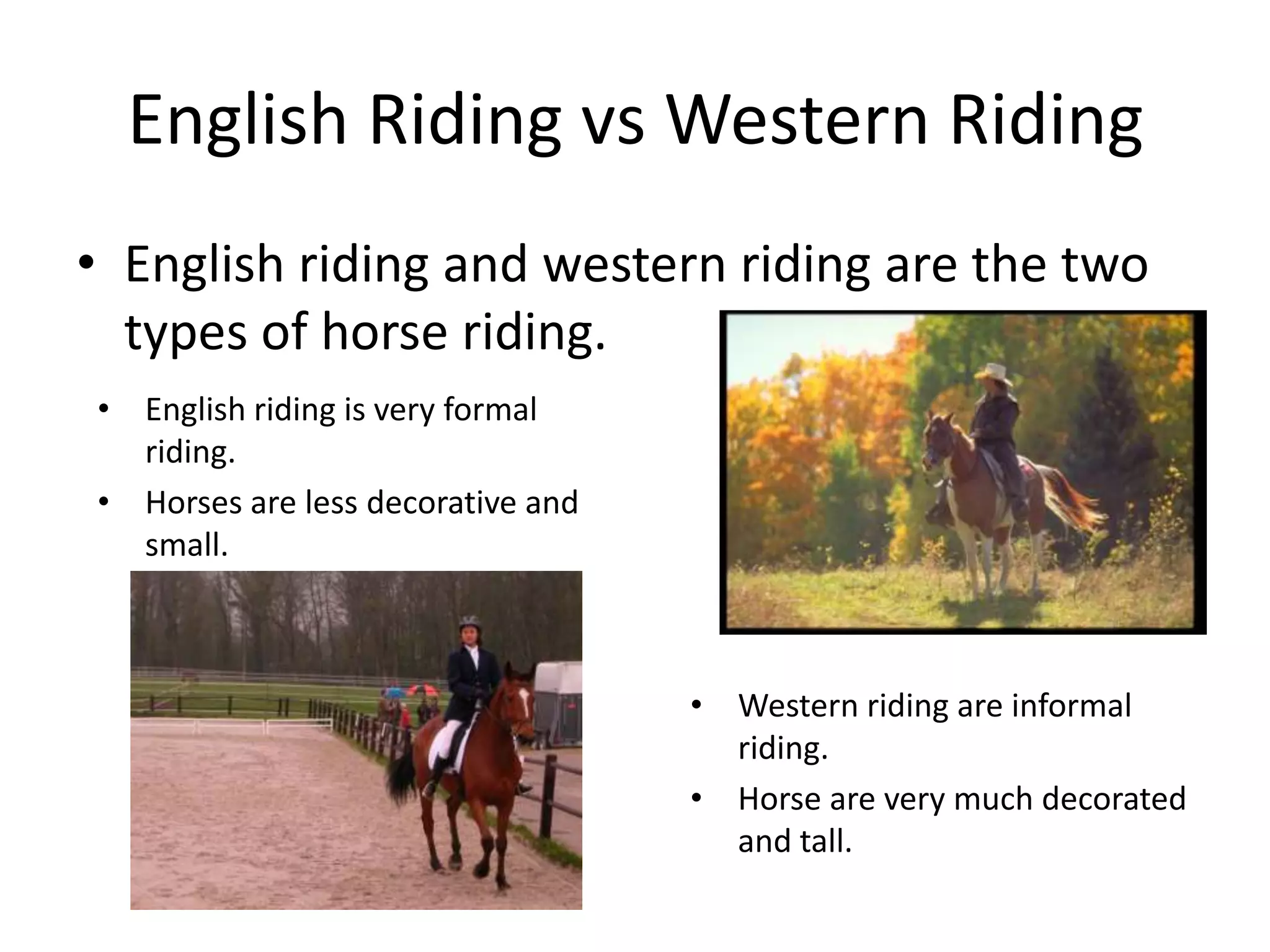 Everything about horse riding | PPSX