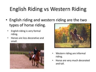 Everything about horse riding | PPSX