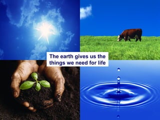 Everything From the Earth | PPT