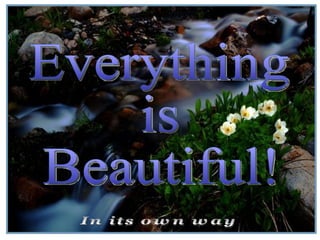 Everything Is Beautiful | PPS