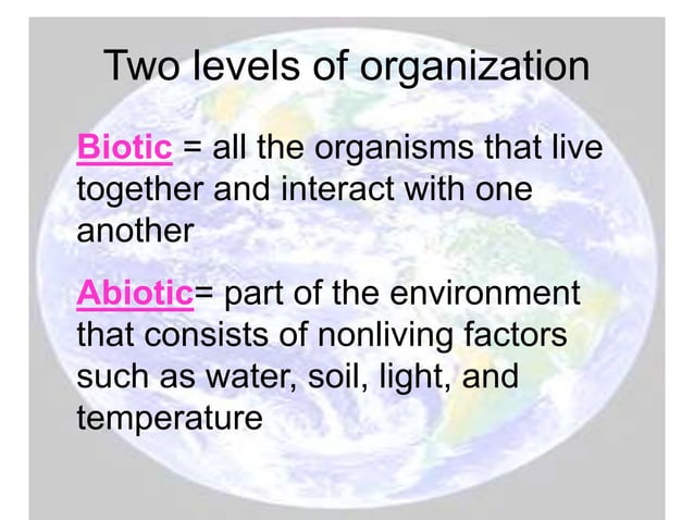 Everything is connected | PPT