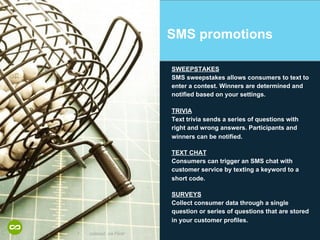 Everything You Ever Wanted to Know About SMS Marketing [webinar slides ...
