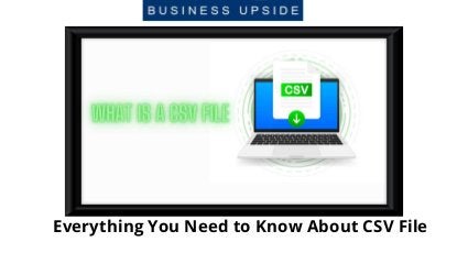 Everything You Need to Know About CSV File.pptx