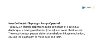 Everything You Need to Know About Electric Diaphragm Pumps.pptx