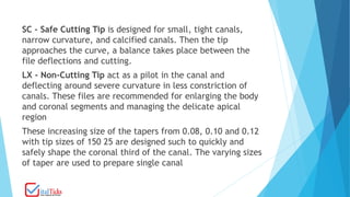 Everything you need to know about endo files | PPTX