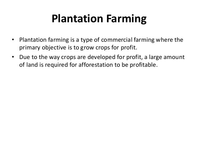 Everything You Need to Know About Indian Agriculture | PPTX