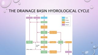 Everything you need to know about rivers | PPT