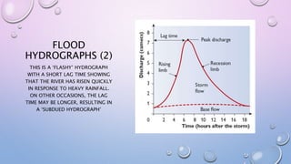 Everything you need to know about rivers | PPT