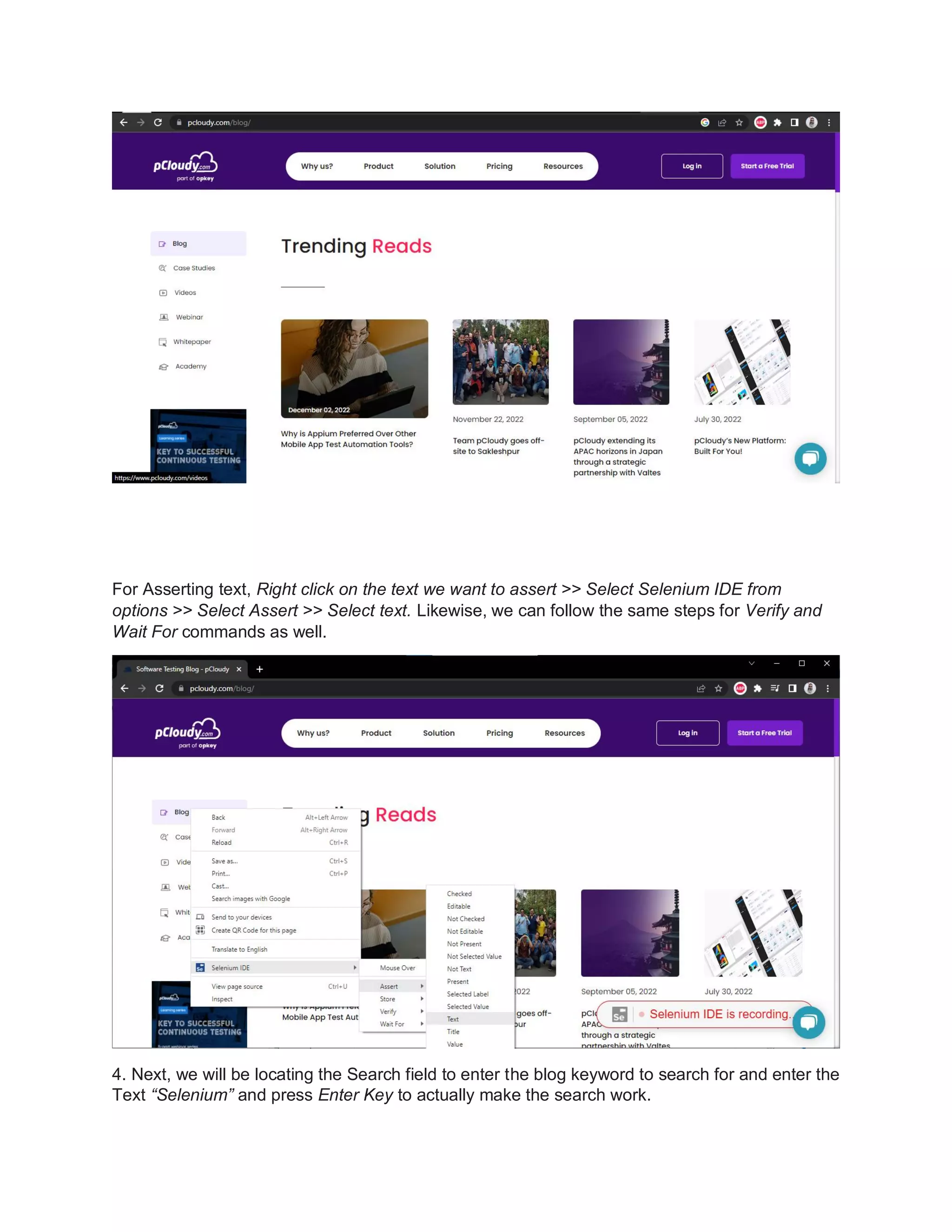 Everything you need to know about the Selenium IDE: Tutorial | PDF