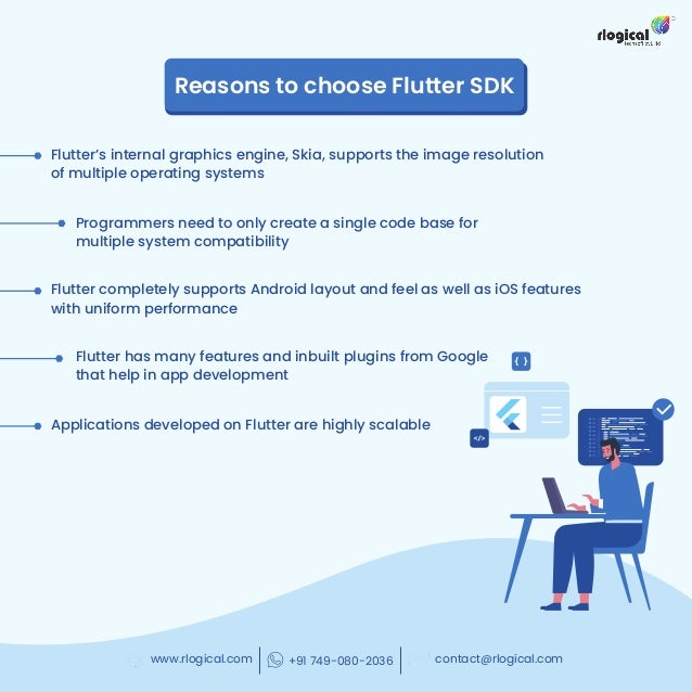 Everything you should know about flutter | PDF