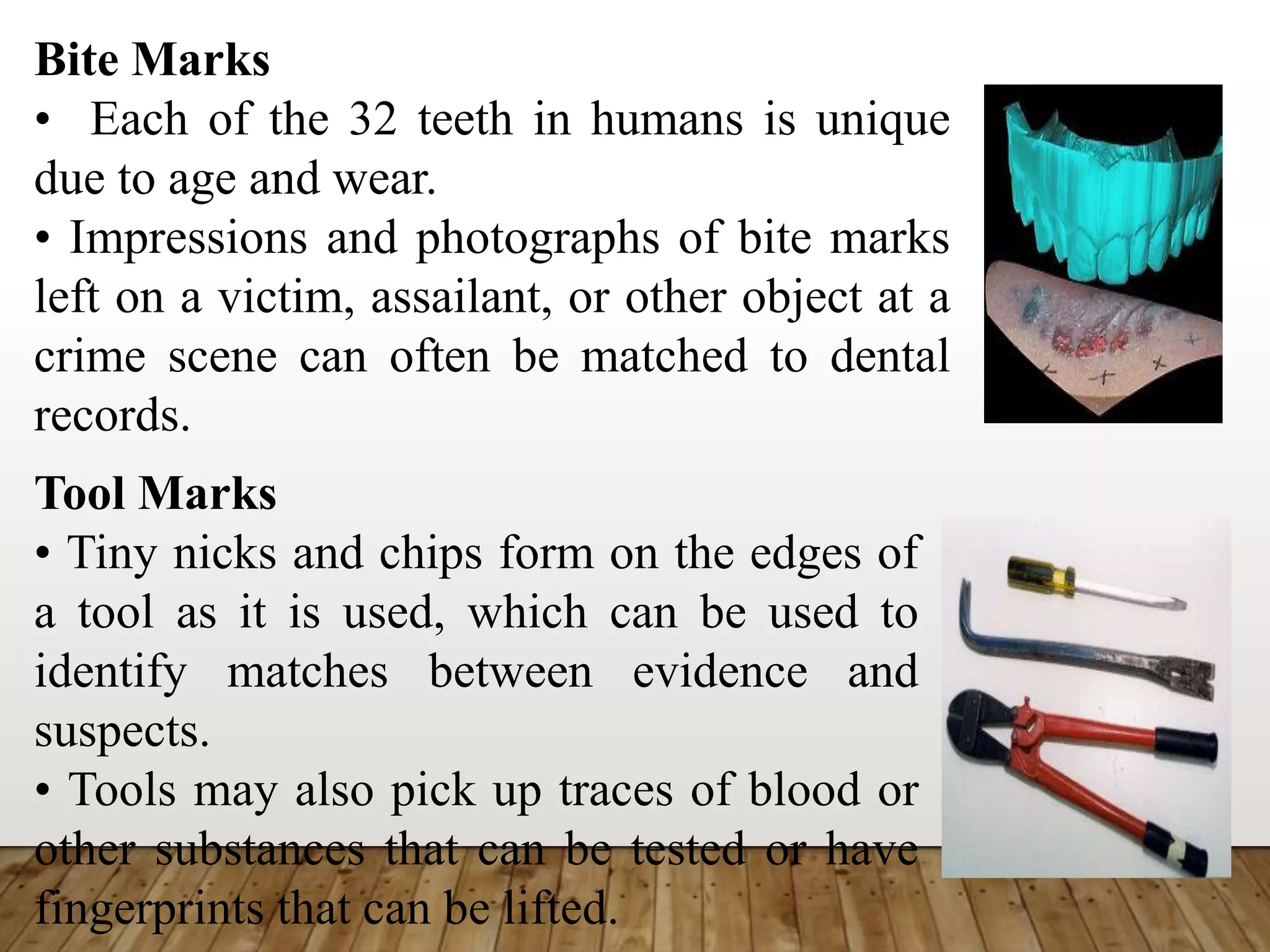 Physical evidence in forensic science-1.pptx
