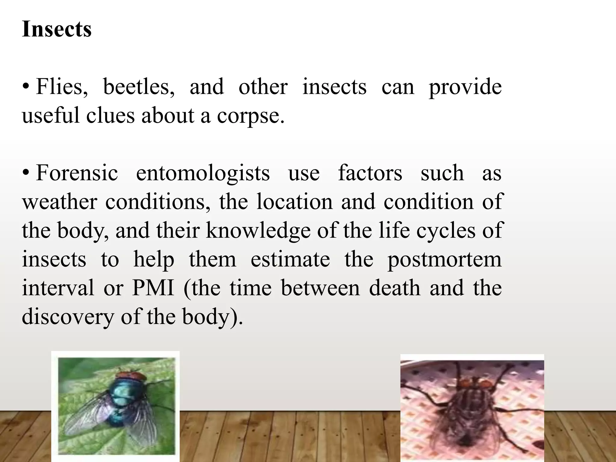Physical evidence in forensic science-1.pptx