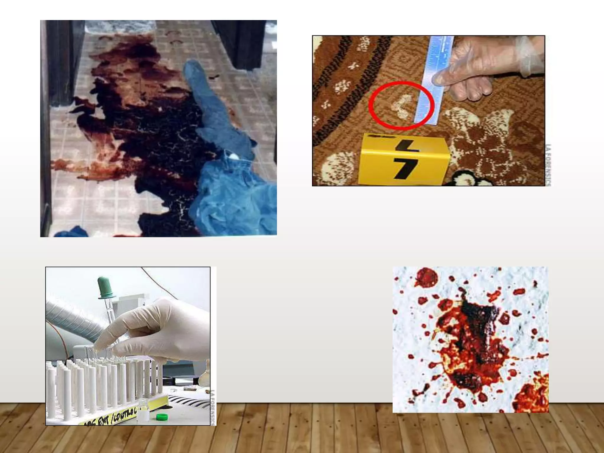 Physical evidence in forensic science-1.pptx