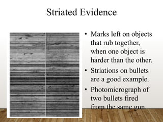 Physical evidence in forensic science-1.pptx