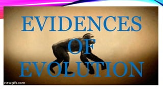 Evidences of Evolution- Science 10 Power | PPT