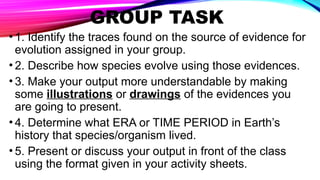 Evidences of Evolution- Science 10 Power | PPT