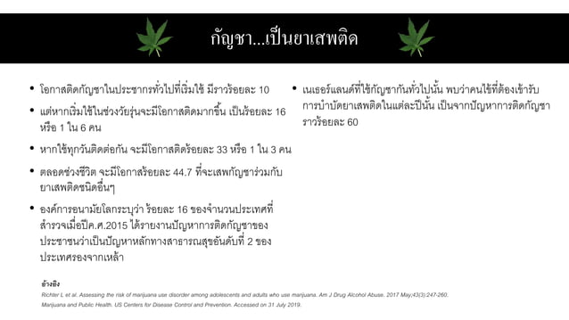 Evidence based public health (medical cannabis policy) | PPT