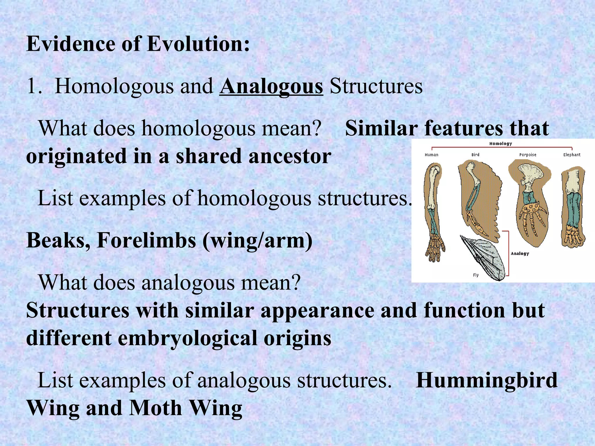 Evidence Of Evolution | PPT