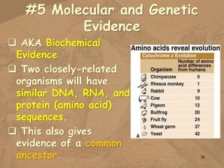 Evidence-of-Evolution.pptx Evolution is a key unifying principle in ...