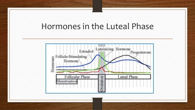 Evidence Based Approach to Luteal Phase Support in IVF Cycles