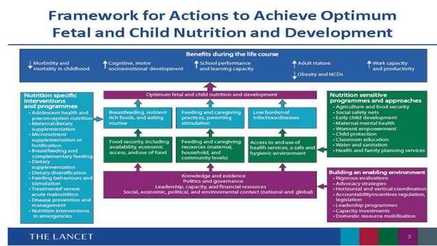 Evidence based nutrition action in SAARC | PPT